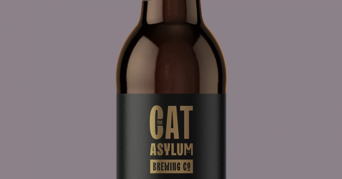 Make Future | The Cat Asylum